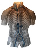 Home - Surgeons' Hall Museums, Edinburgh